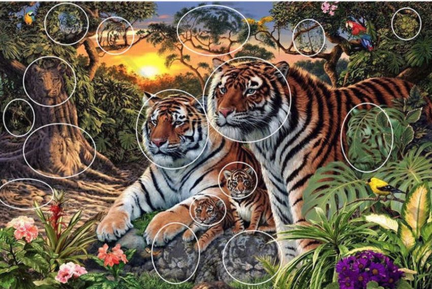 Poznáte, kolik je na obrázku ve skutečnosti tygrů: Optická iluze, která ...