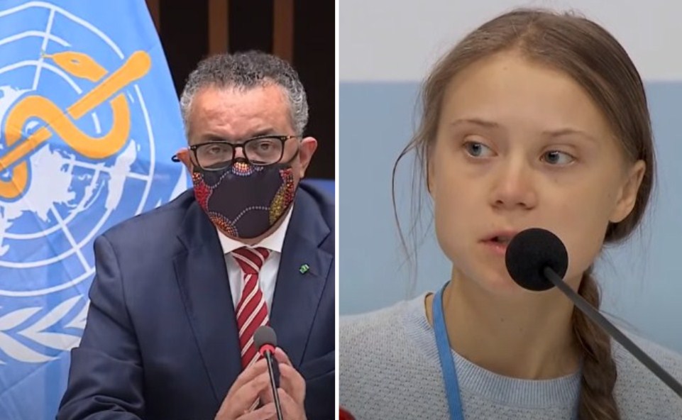 WHO nebo mladá ekologická aktivistka Greta Thunbergová: Kdo letos ... WHO nebo mladá ekologická aktivistka Greta Thunbergová: Kdo letos ...